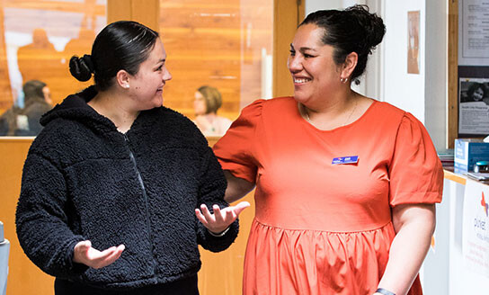 Glossary of Māori words » Whānau Āwhina Plunket